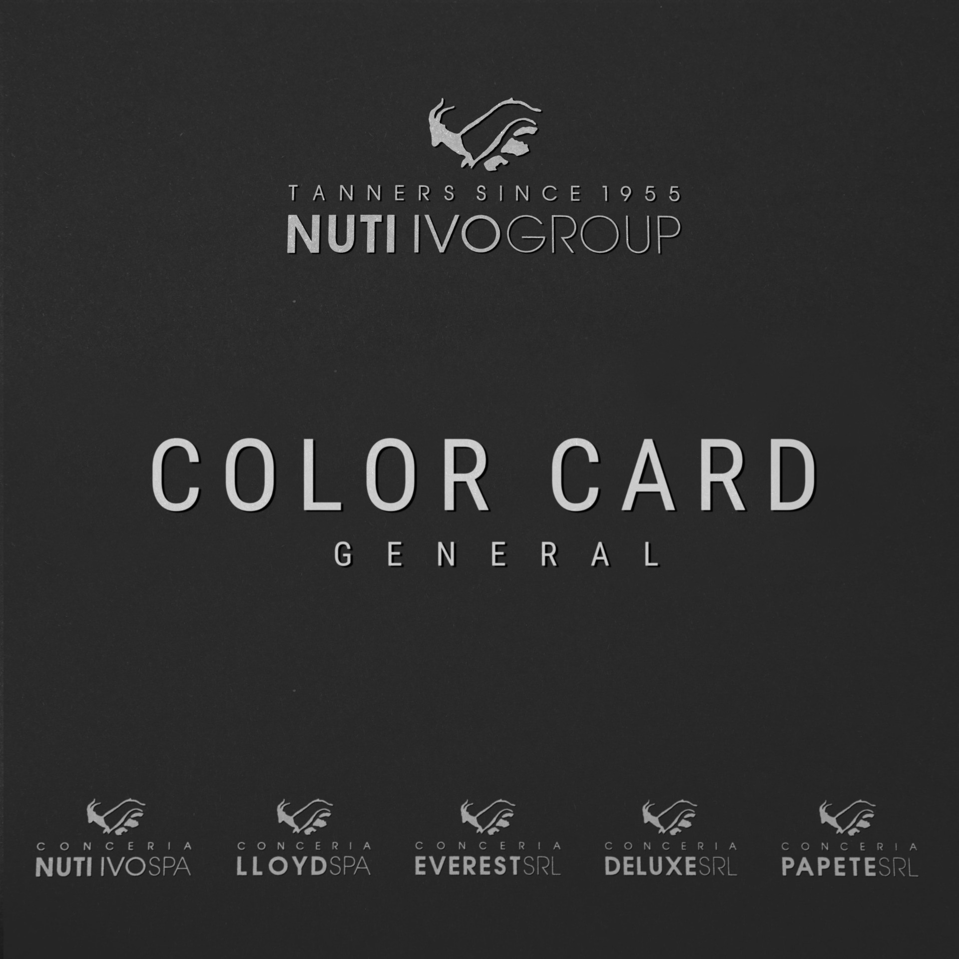 NUTI IVO GROUP GENERAL COLOR CARD | Everest s.r.l.