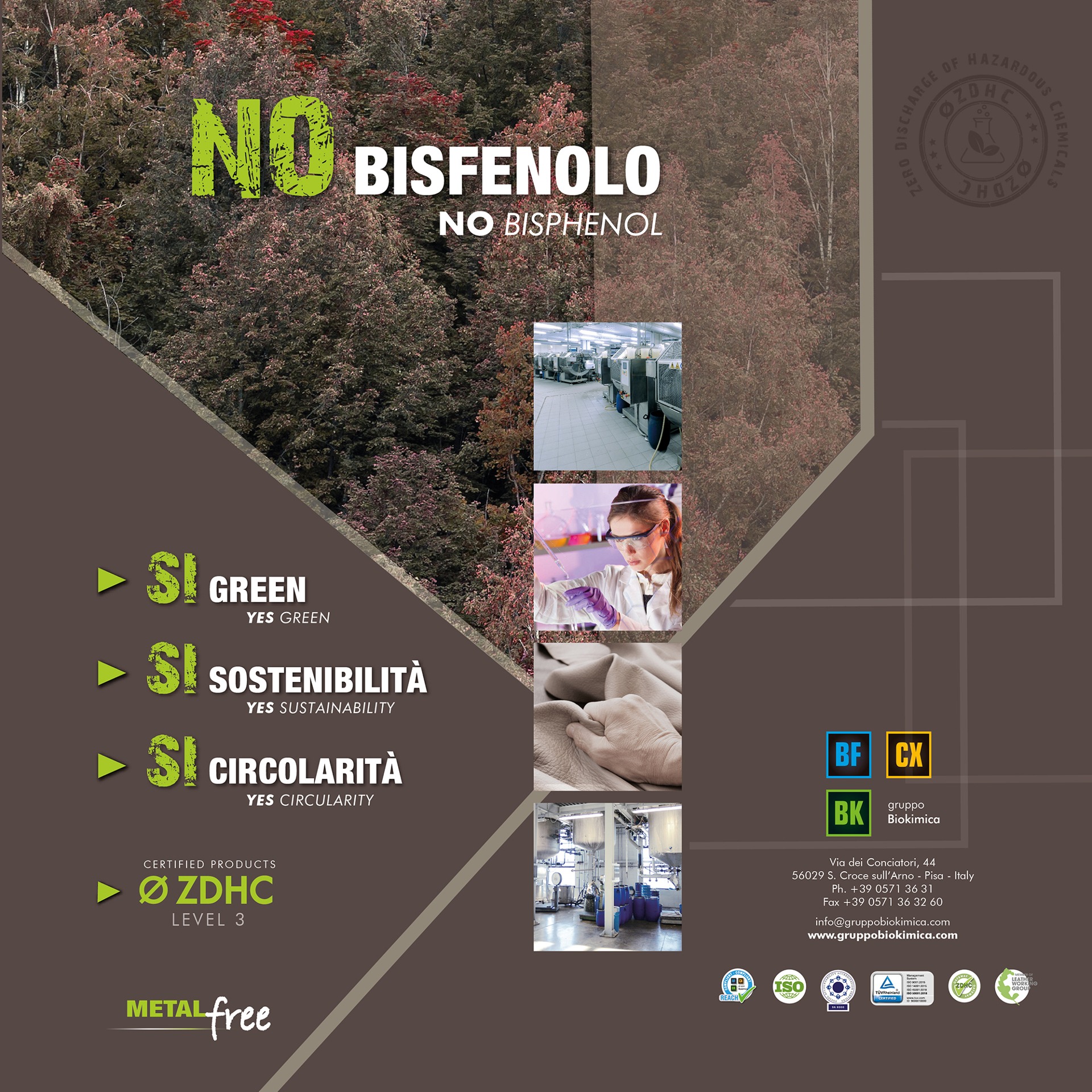 NO BISFENOLO prodotti chimici esenti da bisfenoli